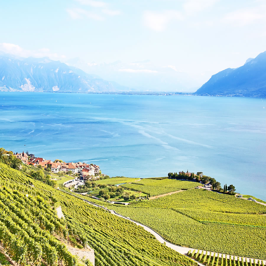 Suíça: Percurso pelo Lago Lemano junto aos Alpes desde 876 €. O melhor ...