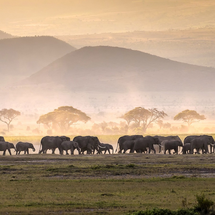 Tanzânia: Safari na Tanzânia com Lago Eyasi . O melhor preço em Logitravel.