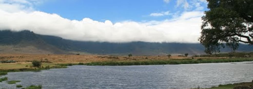 Tanzânia: Arusha, Tarangire, Karatu, Ngorongoro e Zanzibar desde 2,783 ...